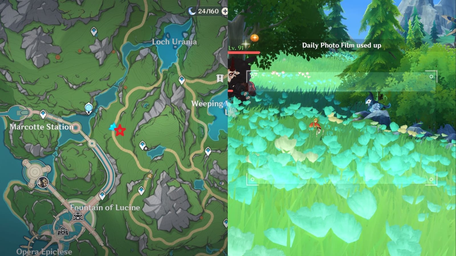 Locations of Basically Blue Wild Creatures in Genshin Impact
