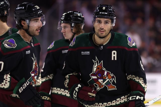 "Zebras were duck lovers": Arizona Coyotes fans point at referees for ...