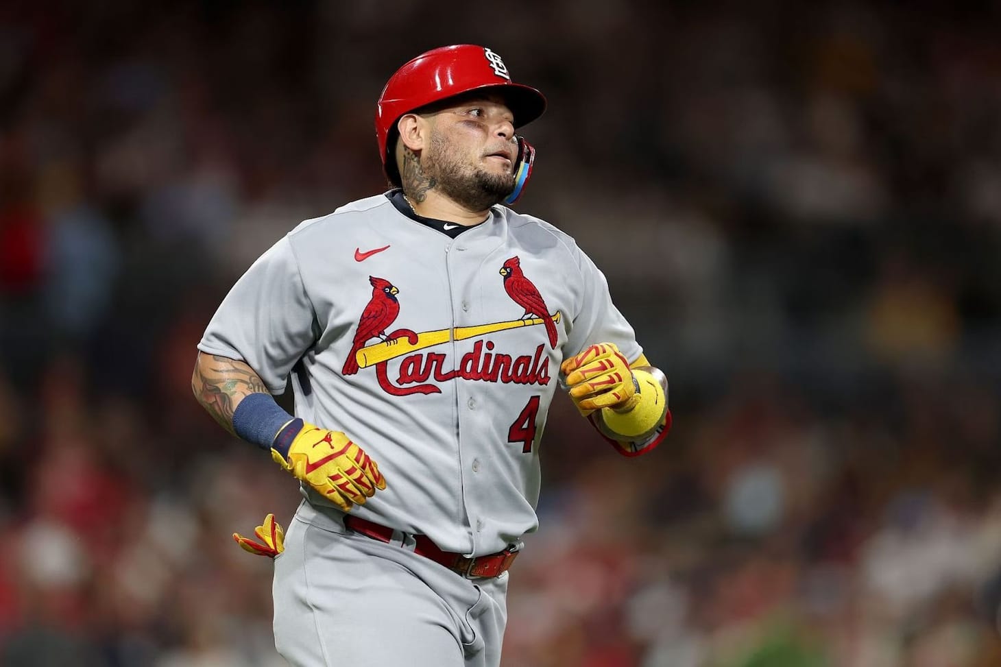 Yadier Molina News, Biography, MLB Records, Stats & Facts