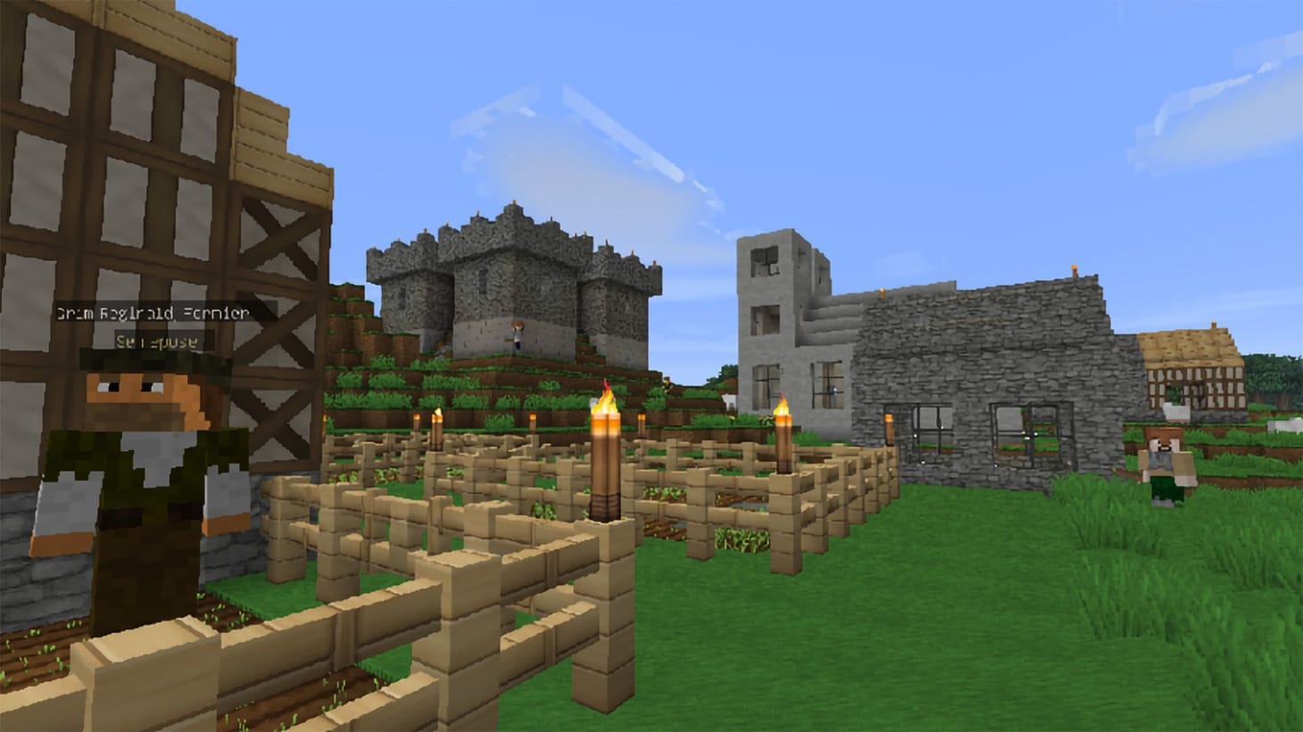 10 best Minecraft villager-enhancing mods