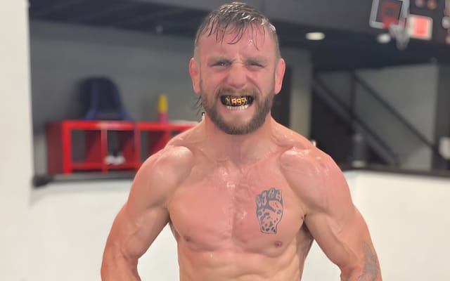 UFC flyweight division: "I have the best job in the world" - Tim ...