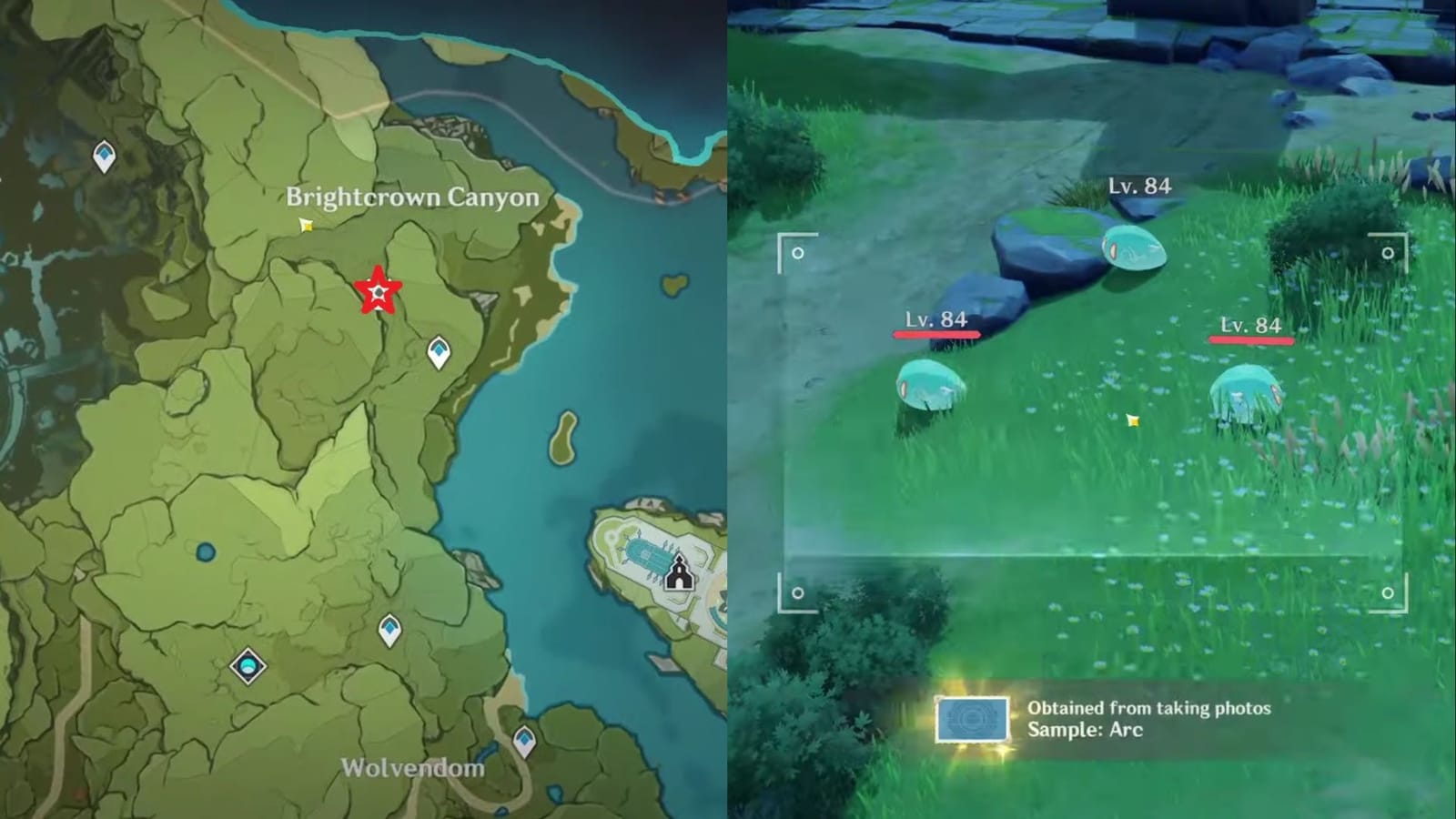 Locations of Opponents with Wing-Like Structure in Genshin Impact