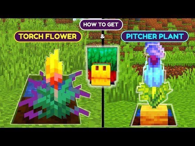 Minecraft pitcher plant guide: How to get, uses, and more