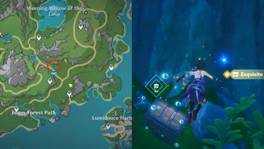 Foggy Forest Branch locations in Genshin Impact