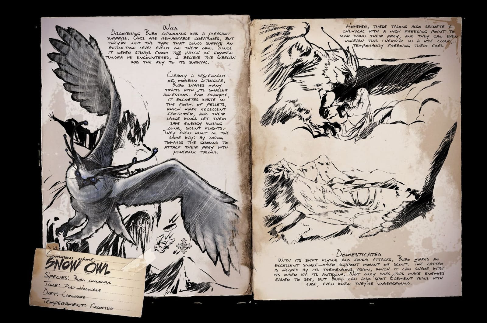ARK Survival Ascended Snow Owl taming guide