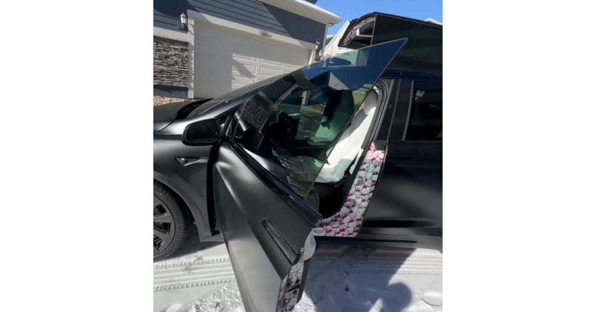 Leanna Lenee: WATCH: Colorado WR Travis Hunter spoils GF Leanna with ...