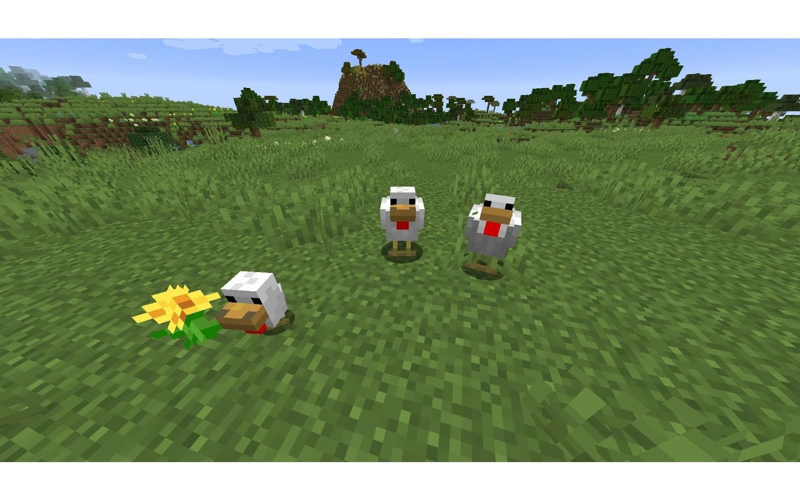 How to make chicken coop in Minecraft