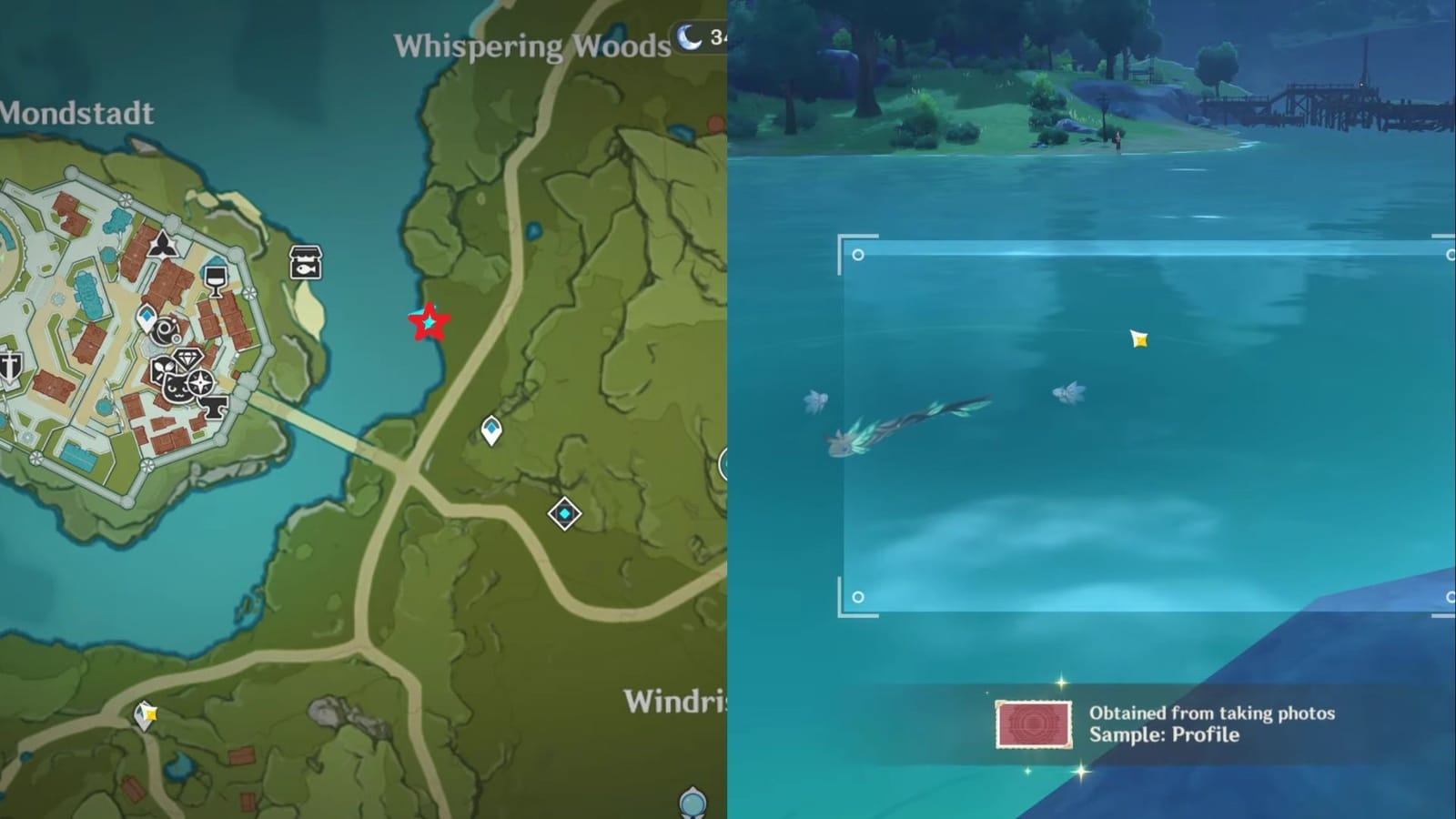 Locations of Basically Blue Wild Creatures in Genshin Impact