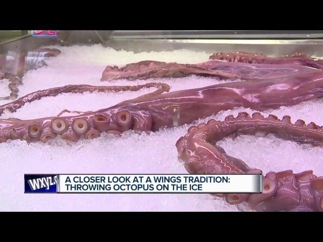 Why do Detroit Red Wings fans throw octopuses? Delving deeper into long ...