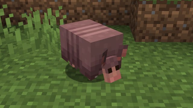 Armadillo might release before Minecraft 1.21 update