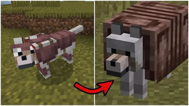 Minecraft player creates their own hilarious wolf armor design