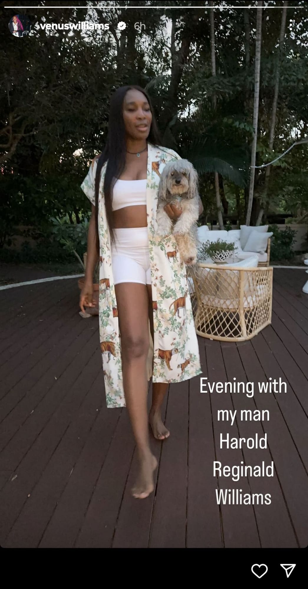 "With my man" - Venus Williams gets decked out for evening with her pet ...