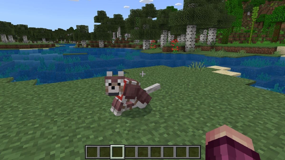 Minecraft wolf armor guide: All you need to know