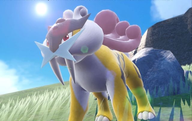 How to get Raikou in Indigo Disk | Pokemon Scarlet and Violet