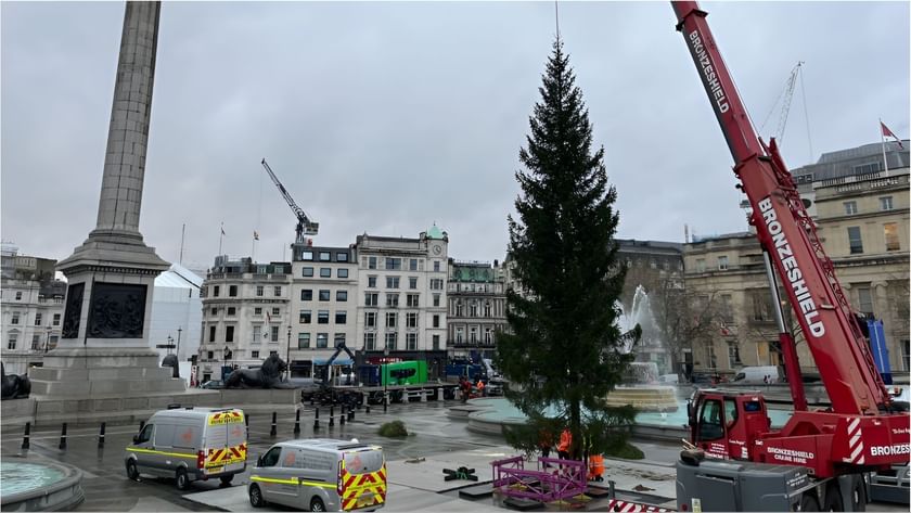 "Does it look quite dead?" - Trafalgar Square Christmas Tree's appearance mocked after ...