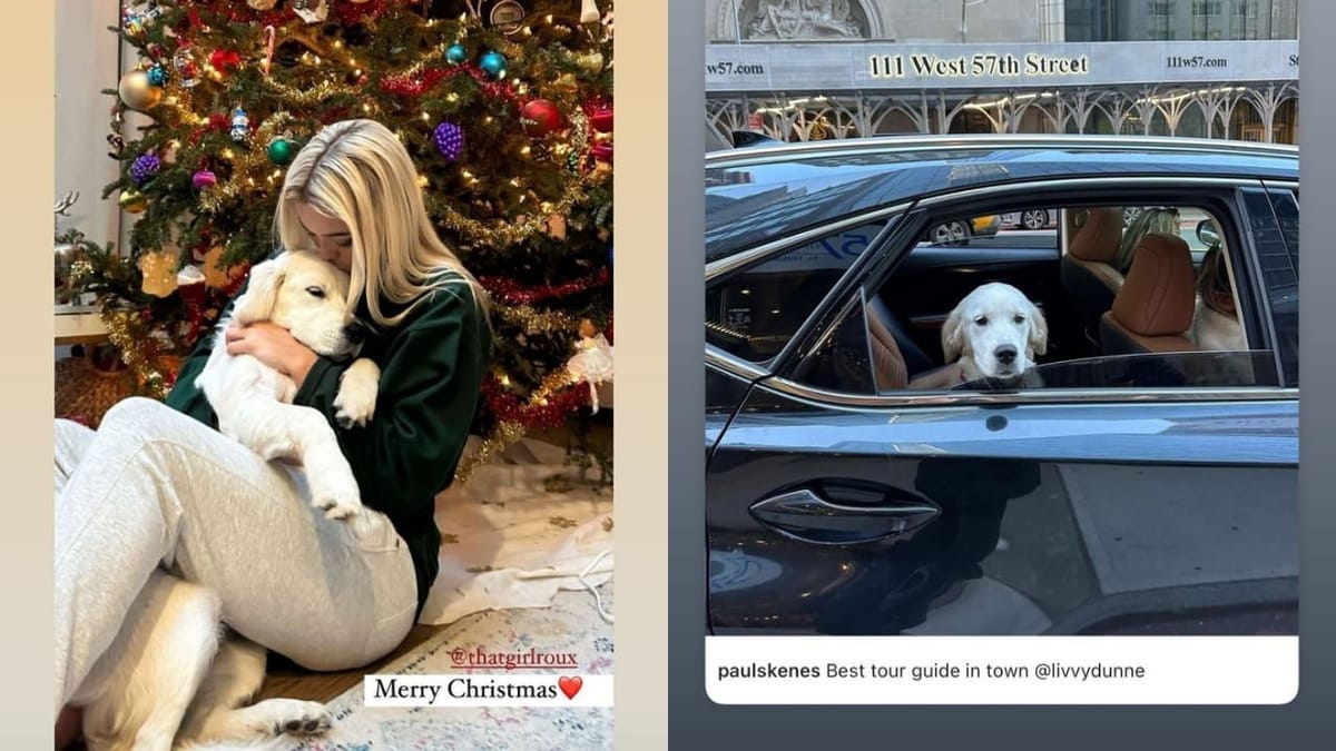 Olivia Dunne captures pet labrador Roux's first Christmas to spark ...