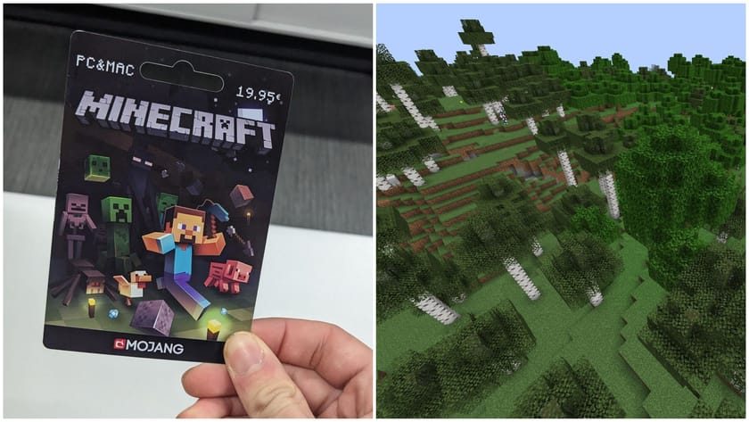 Minecraft player finds old physical copy of the game in a local store