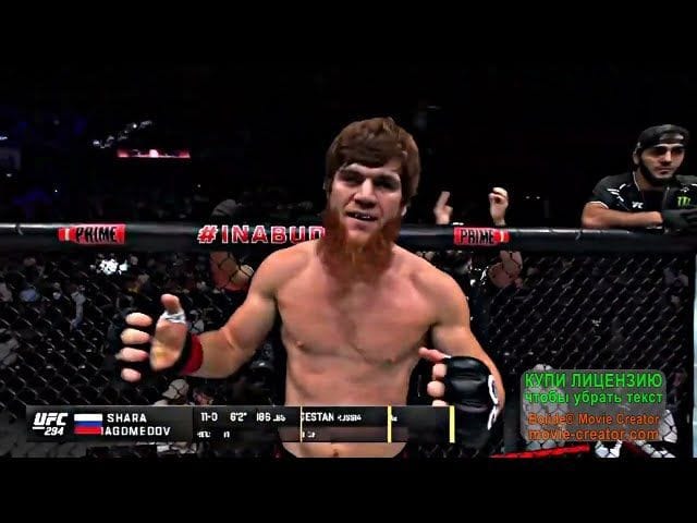 5 best UFC debuts of 2023