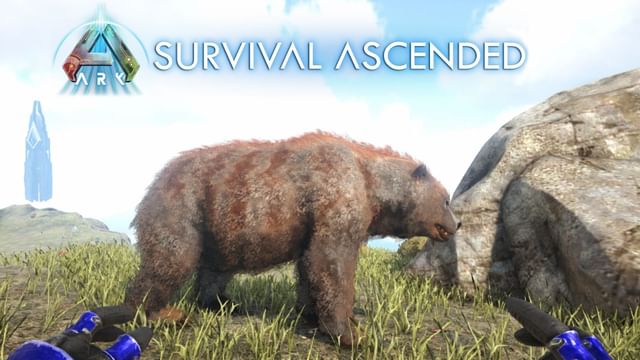Ark Survival Ascended Dire Bear taming guide