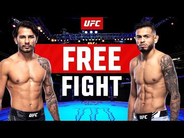 Where to watch UFC Fight Night: UFC Tonight: UFC 296: Edwards vs ...