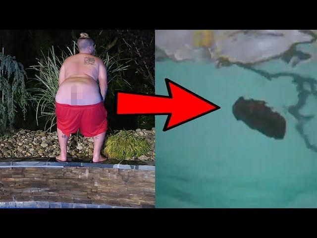 Codee Yount's Profile, Net Worth, Age, Height, Relationships, FAQs