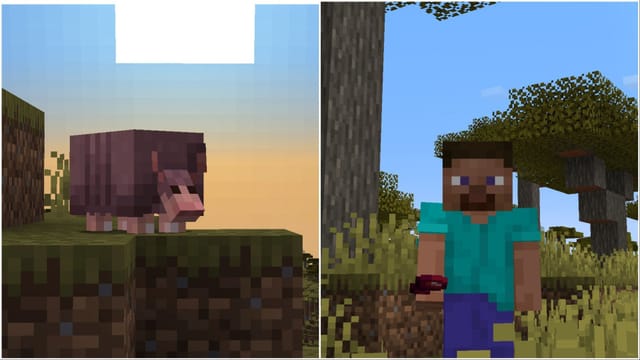 What do armadillos eat in Minecraft?