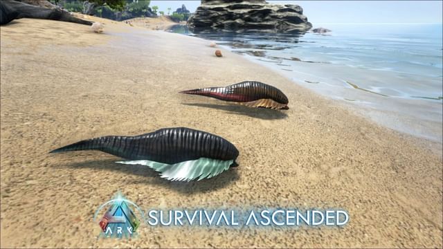 Ark Survival Ascended Leech explained: location, uses, how to remove ...