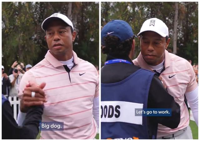 Watch: The video that started the Tiger Woods’ ‘Big dog’ memes