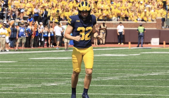 Who are James Turner's parents? Age, Nationality and more