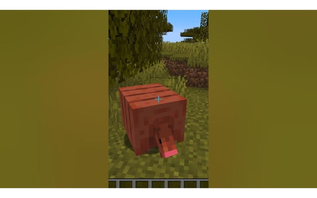 List of Minecraft mobs that exist in real life