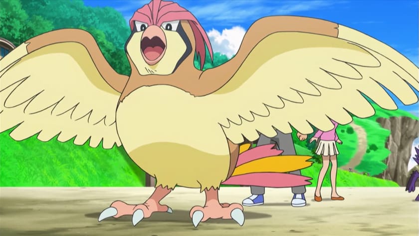 Pidgey, Pidgeotto and Pidgeot: Exploring Bird Pokemon origin ...
