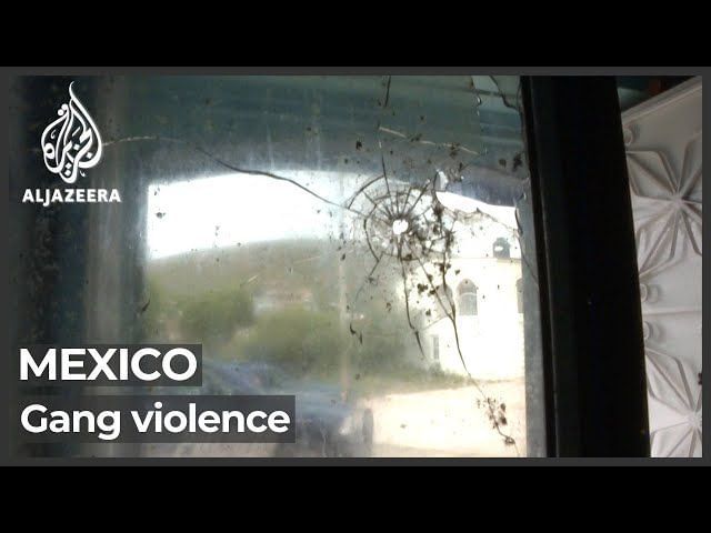 "Never stepping in Mexico": Zacatecas flaying video resurfaces online ...