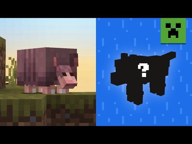 Minecraft armadillo guide: How to find, breeding, uses, and more