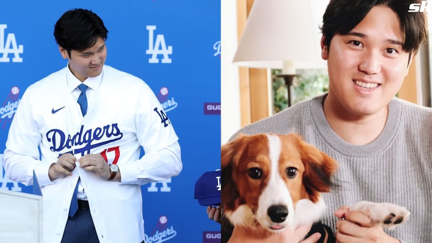 What is Shohei Ohtani's dog's breed? Exploring origins of fan-favorite ...