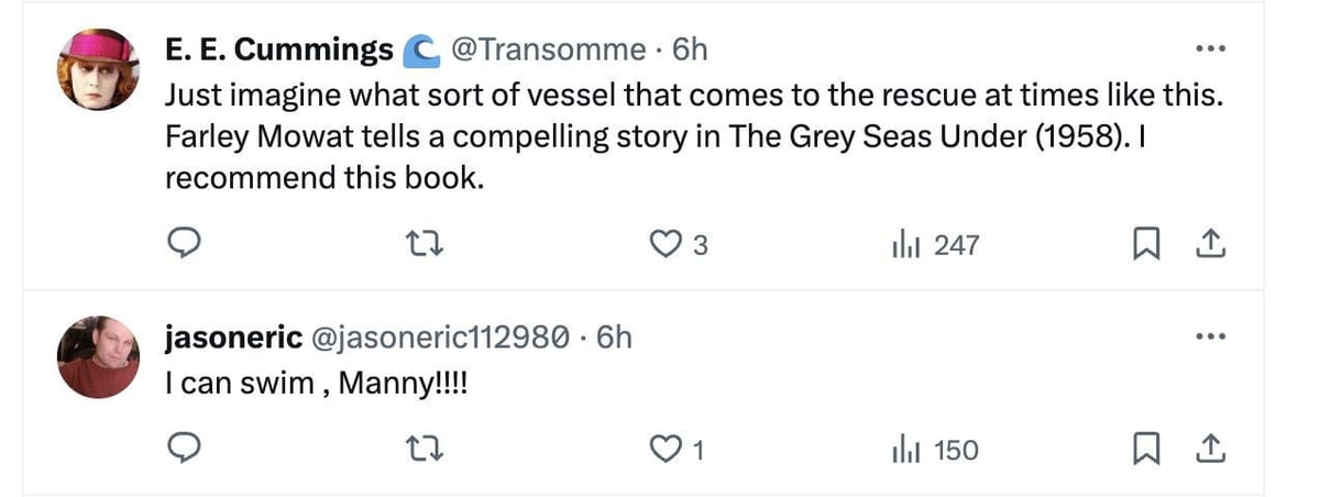 What happened to the MS Maud? Norwegian Cruise ship gets hit by Rogue ...