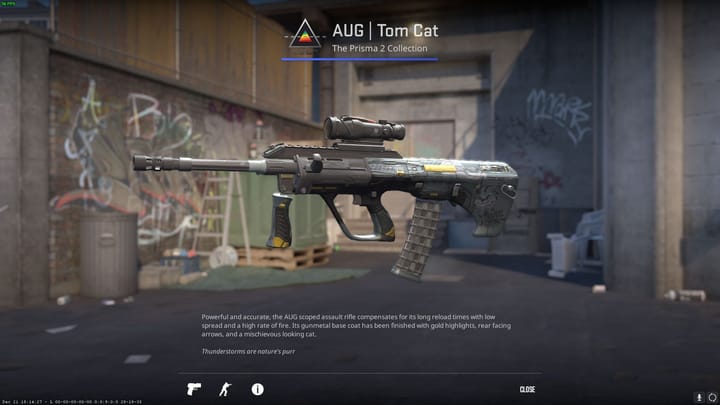7 best AUG skins under $10 in Counter-Strike 2