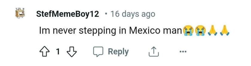 "Never stepping in Mexico": Zacatecas flaying video resurfaces online ...