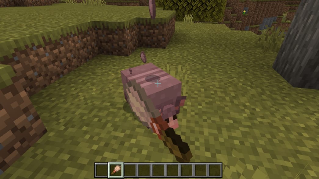 Minecraft armadillo scutes guide: How to get, uses, and more