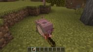 Minecraft armadillo scutes guide: How to get, uses, and more