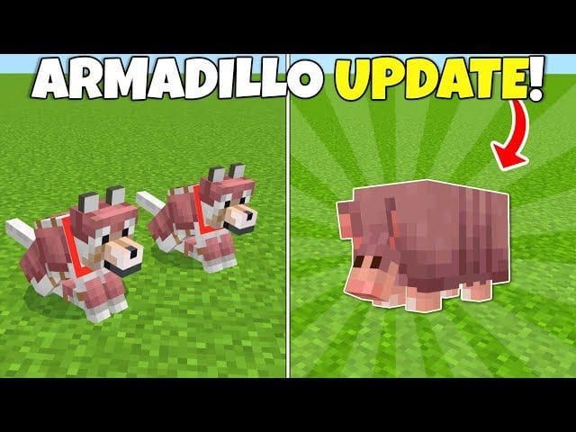 Minecraft's latest beta finally adds armadillos and wolf armor