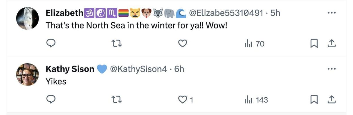 What happened to the MS Maud? Norwegian Cruise ship gets hit by Rogue ...