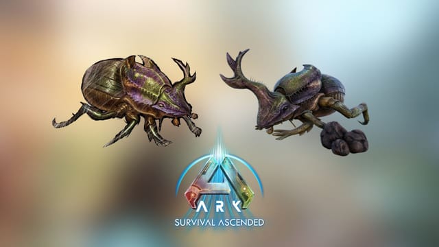 ARK Survival Ascended Dung Beetle taming guide