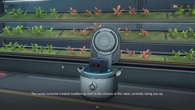 Honkai Star Rail Critter Pick Nurture guide