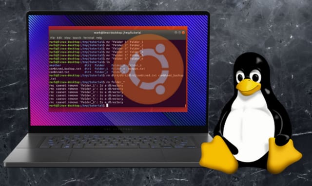Essential Linux commands you should know in 2024