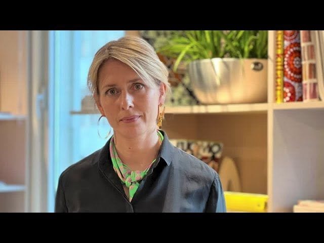 Helena Helmersson: Who is Helena Helmersson? Daniel Ervér takes over as H&M CEO steps down amid ...