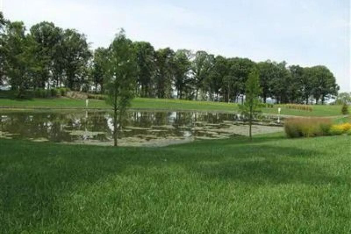 Where does Joe Burrow live? Bengals star's $7,500,000 mansion explored