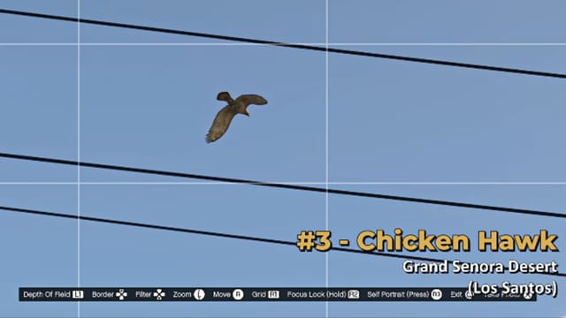 GTA Online Chicken Hawk location: A brief guide