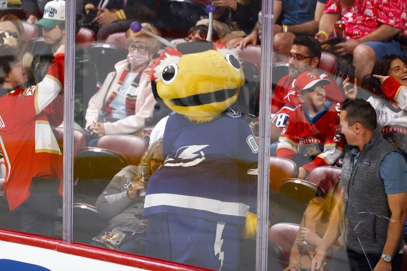 What animal is the Tampa Bay Lightning mascot? All we know about fan ...