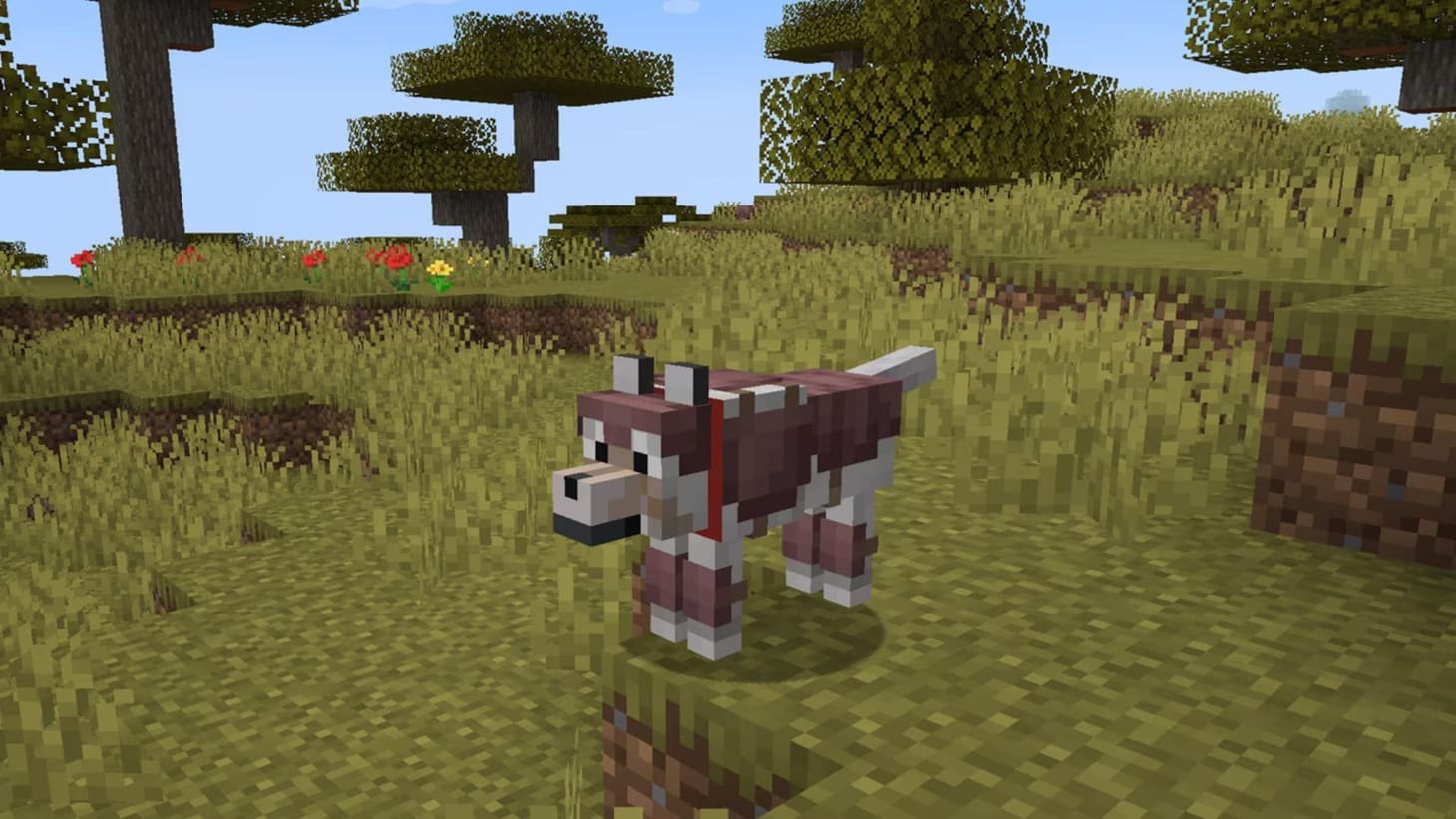 Minecraft armadillo update: All you need to know