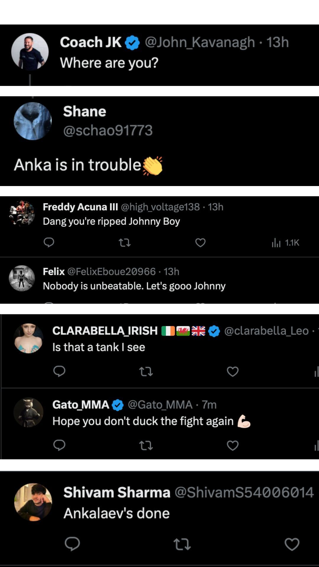 Magomed Ankalaev: "Anka is in trouble" - Johnny Walker's shredded ...